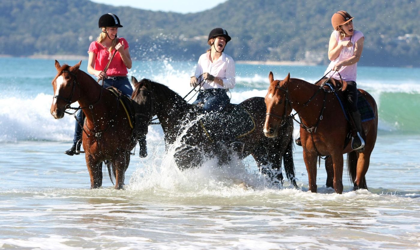 Contact Us - Australia | Equathon Horse Riding Tours